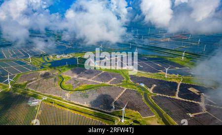 YANCHENG, CHINA - AUGUST 4, 2023 - Comprehensive utilization of wind ...
