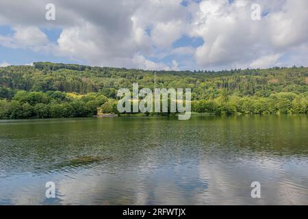 Lake Echternach, hills with abundant leafy trees in the misty ...