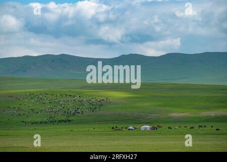 Erdenet, Mongolia - July 19, 2023: Yurt settlement in the Mongolian ...