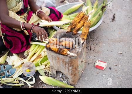 An unidentifiable Indian poor woman selling roasted corn at street or ...