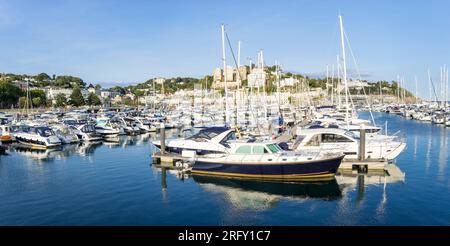 GB - DEVON: Torquay Harbour Panorama Stock Photo - Alamy