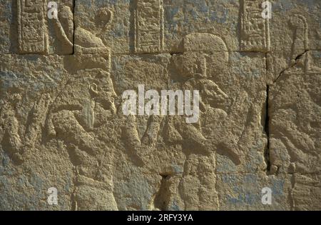 Stone carving at the pyramids of giza near the city of Cairo at the ...