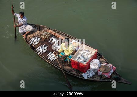 Traders selling Hilsa fish at the Chandpur Launch Terminal, using a ...