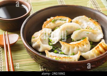 Plate with tasty Japanese gyoza and sauce on color background Stock ...