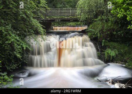 Blackling Hole waterfall in summer, Hamsterley Forest, Teesdale, County ...