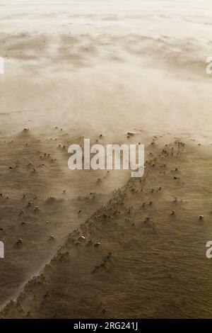Drifting sand in storm wind blowing over the beach Stock Photo - Alamy