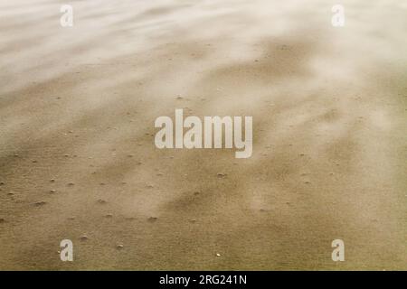 Drifting sand in storm wind blowing over the beach Stock Photo - Alamy