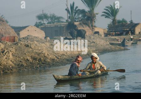 Marsh Arabs Iraq 1980s. Water buffalo swimming Mesopotamian Marshes ...