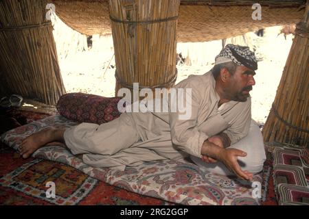 Iraq A Marsh Arab Reed House Stock Photo - Alamy