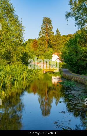Summer evening with the mill ponds and the Brooks Path in Loose valley ...