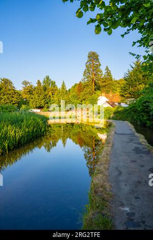 Summer evening in Loose valley, Loose Valley Conservation Area ...