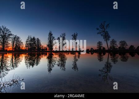 Drift sand, Appelscha, Friesland, Netherlands Stock Photo - Alamy