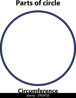 A diagram of a circle with the center, diameter, circumference, and ...