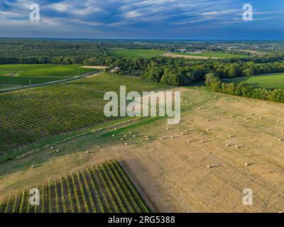 Aerial view Bordeaux Vineyard and forage fields with bales of hay in ...
