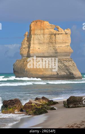 Gog and Magog limestone stacks of the Twelve Apostles along the Great ...