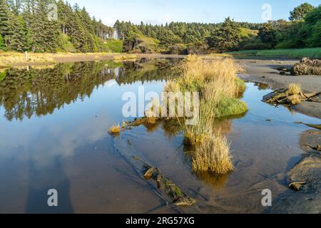 A landscape photo of the Moclips River in Washington State Stock Photo ...