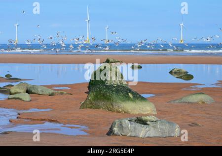 Aberdeen Offshore Wind Farm, among the world's most powerful floating ...
