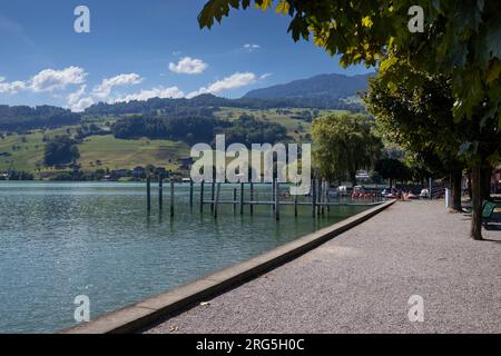 A beautiful view of Lake Sarnen with green cliffs against a cloudy sky ...