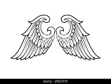 classic beautiful angel feathered bird wings black and white outline ...