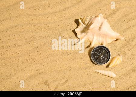 Beautiful seashell and compass on sandy beach Stock Photo - Alamy