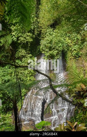 Goa Giri Campuhan Waterfall, Tembuku, Bangli Regency, Bali, Indonesia ...