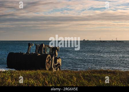 United States Army vehicles successfully land on the beach from a ...