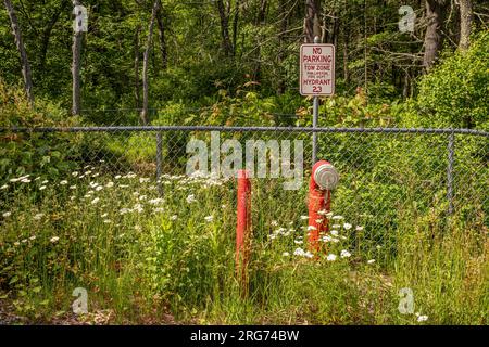 A fire hydrant in the rural town Petersham, MA Stock Photo - Alamy