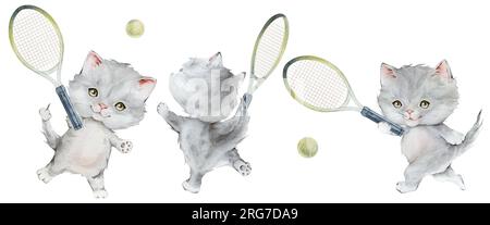 Little fluffy gray kitten badminton player holding racket on grass ...