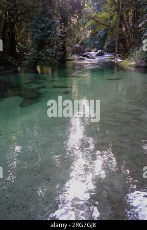 Crystal clear streams through the rainforest of Wooroonooran National ...
