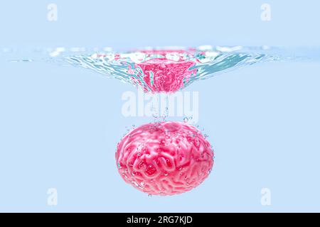 Mental purification: Human brain model set in soapy water, accompanied ...