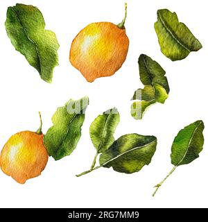 Philosophical hand, symbol of alchemy painted in watercolor Stock Photo ...