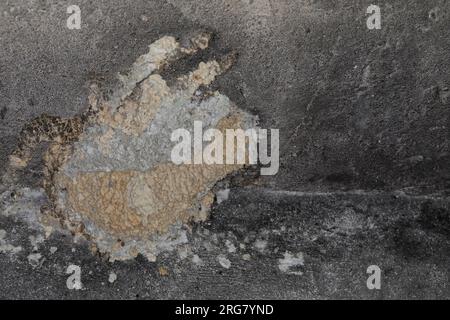 Rötelschwalbe, Cecropis daurica Stock Photo - Alamy