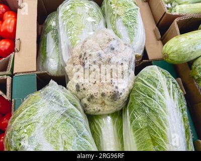 Tainted cauliflower. Black mold on bad cauliflower. Improper storage of ...