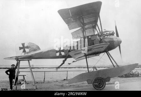 Albatros D II German fighter plane, a late production model, serial no ...