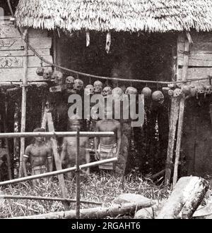 Vintage 19th century photograph: The Dayak or Dyak or Dayuh are one of ...