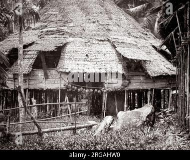 Vintage 19th century photograph: The Dayak or Dyak or Dayuh are one of ...