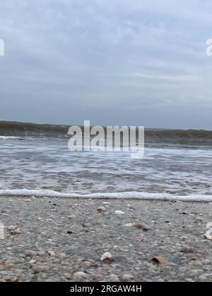 beach seaside the beach seashore outdoor ecology landscape scenery ...