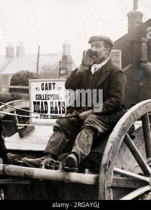 Rat collector and his cart, London c.1920s Stock Photo - Alamy