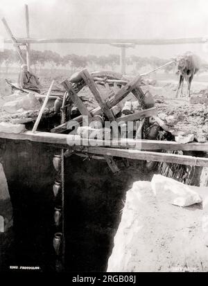 Vintage 19th century photograph: sakkieh or ox driven water wheel used ...