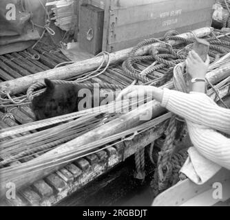 L'egare II', a raft used by a French crew in 1956 to cross the Atlantic ...