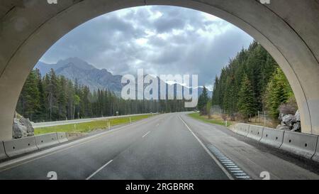 Castle Junction, Alberta Canada - May 23, 2023: The Sawback mountain ...