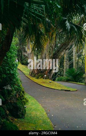 Jardim Botanico Antonio Borges. Tranquil botanical garden in Azores ...