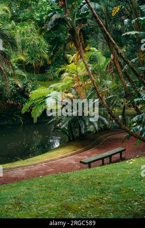 Jardim Botanico Antonio Borges. Tranquil botanical garden in Azores ...