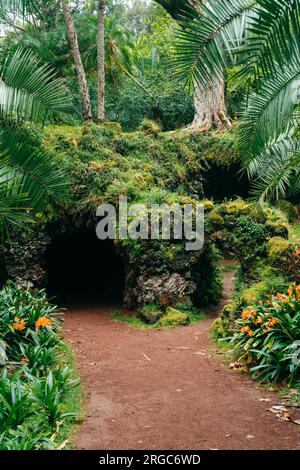 Jardim Botanico Antonio Borges. Tranquil botanical garden in Azores ...