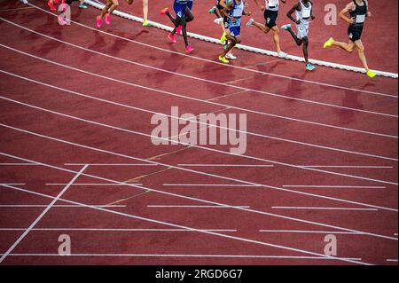 Middle Distance Race During Track and Field Event, Female Athletes on ...