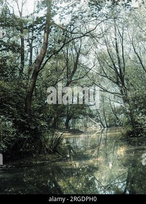 A picturesque view of the lake at Wanstead Park, Essex, England. Date ...