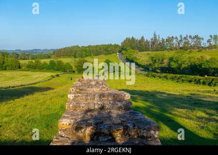 Black Carts Turret in Hadrian's Wall ruin near village of Chollerford ...