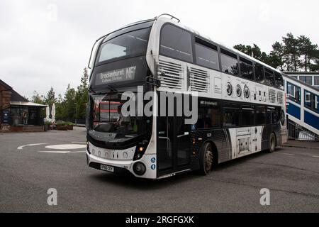 New Forest Show Bus, Brockenhurst to New Park 2023 Stock Photo - Alamy