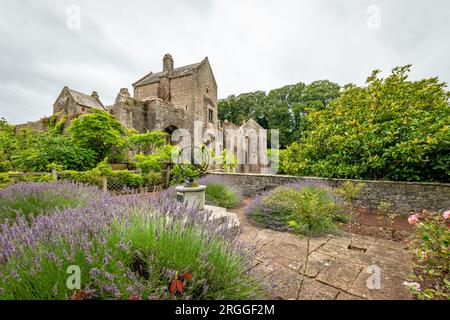 August 2023. Attractive garden at Compton Castle in Devon Stock Photo ...