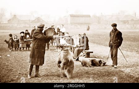 Making bears perform for entertainment, Victorian period Stock Photo ...